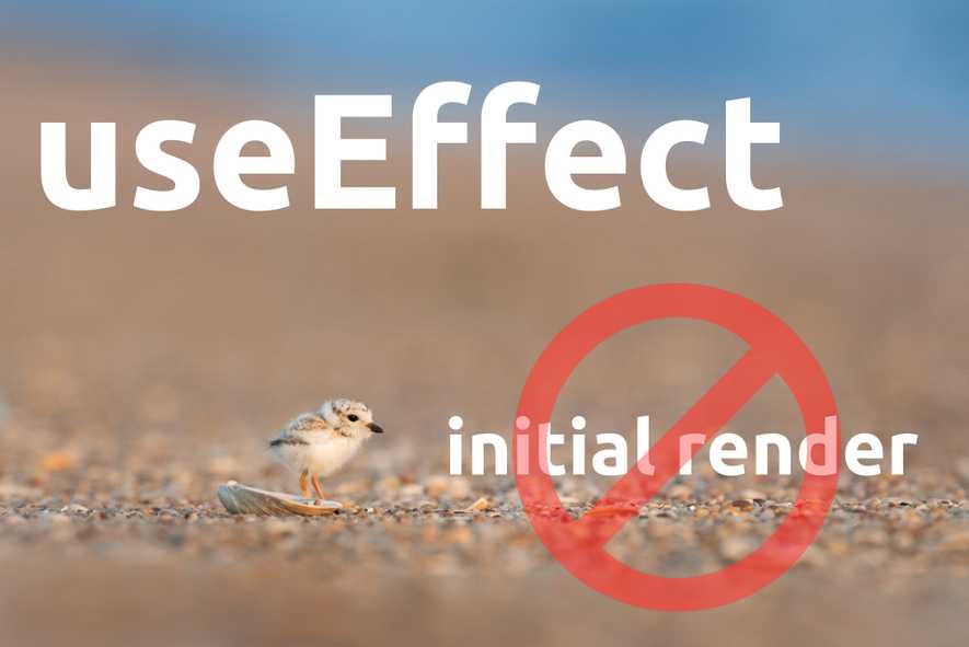 How To Prevent Useeffect From Running On Mount In React Typeofnan