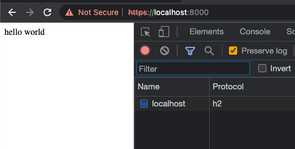 How to use HTTP2 with Express.js and test it locally | TypeOfNaN